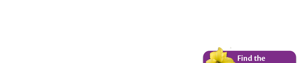 Sandy's Plants, Inc. Rare and Unusual Perennials